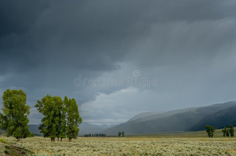 Rain Makes Its Way Up the Lamar Valley in Summer Stock Photo - Image of ...