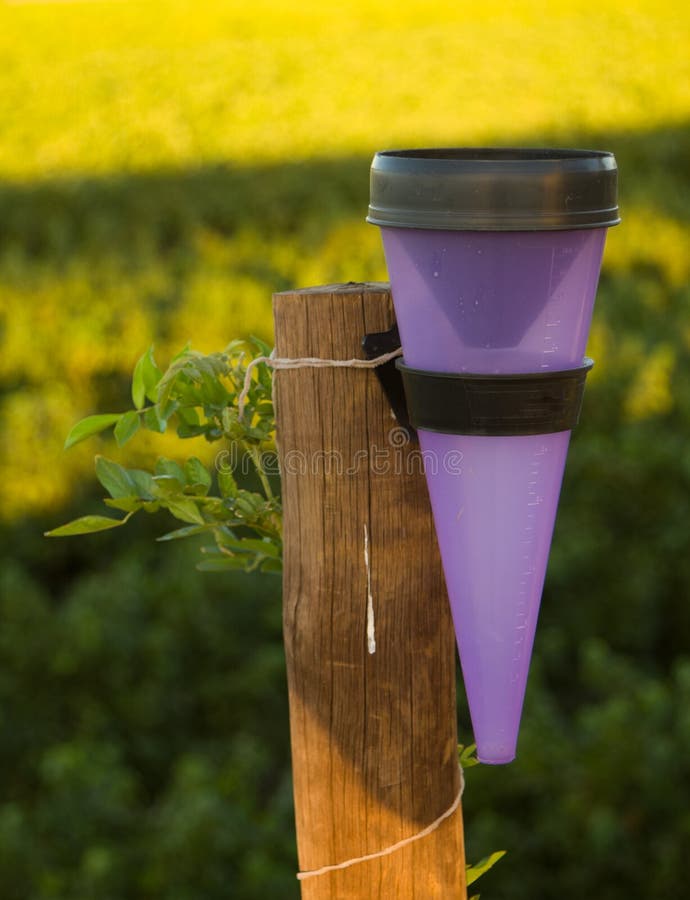 Rain meter on wooden pole stock image. Image of science - 12447553