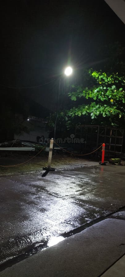 Sun Light in the Midle of Tree Stock Image - Image of midle, light ...