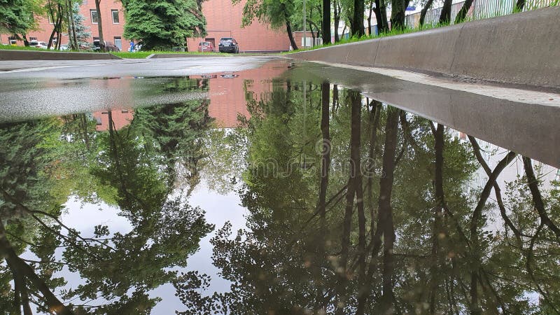 After rain in Moscow stock photo. Image of park, water - 227183744