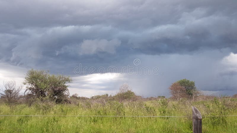Rain Namibia Summer Beautifull Nice Stock Photo - Image of namibia ...