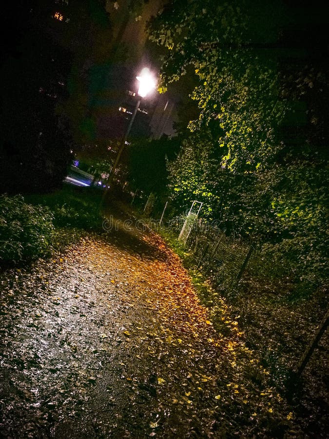 Rain night Park stock image. Image of night, fall, rain - 162811855
