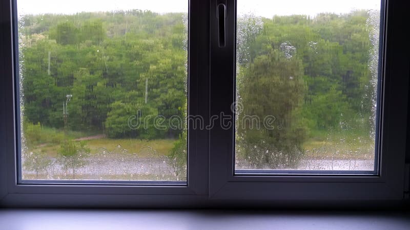 The Rain Outside the Window Stock Footage - Video of nature, abstract ...