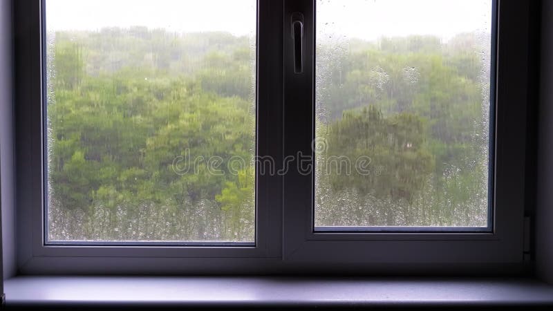 The Rain Outside the Window Stock Footage - Video of nature, abstract ...