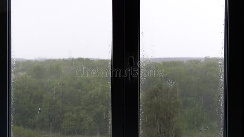 The Rain Outside the Window Stock Footage - Video of nature, abstract ...
