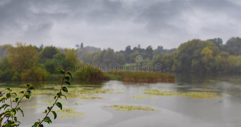 Rain Over the River. Summer Landscape with the River in Rainy Weather ...