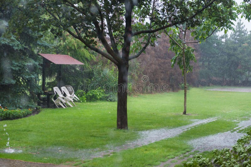 Rain in the park stock image. Image of plant, forest - 37747959