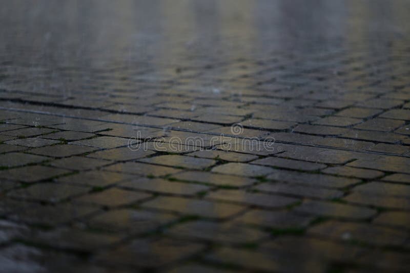 Rain on Pavement As a Close Up Stock Image - Image of outdoors, storm ...