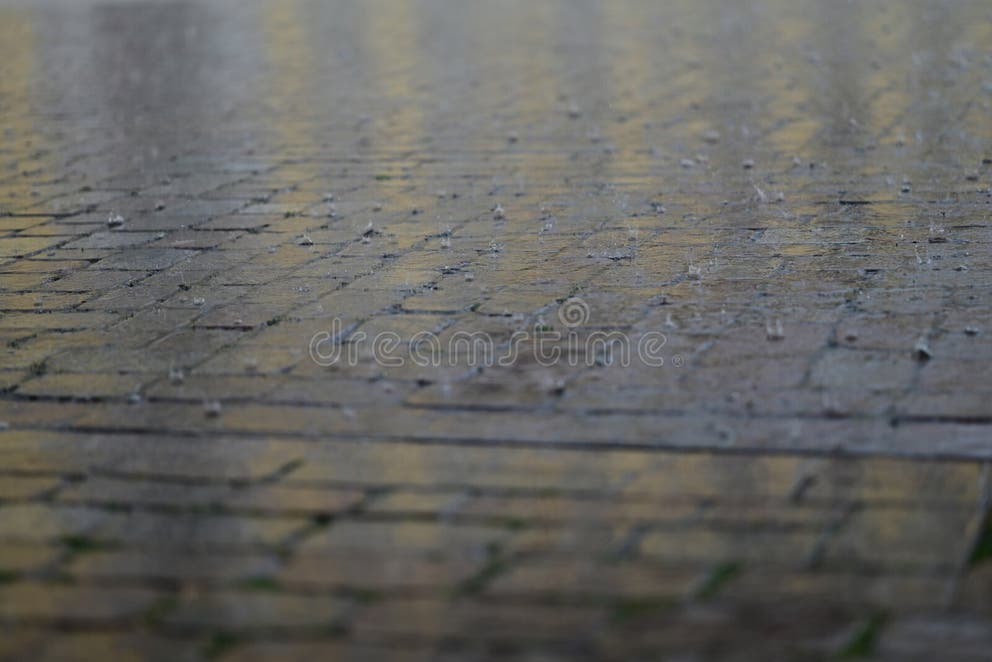 Rain on Pavement As a Close Up Stock Photo - Image of storm, rainy ...