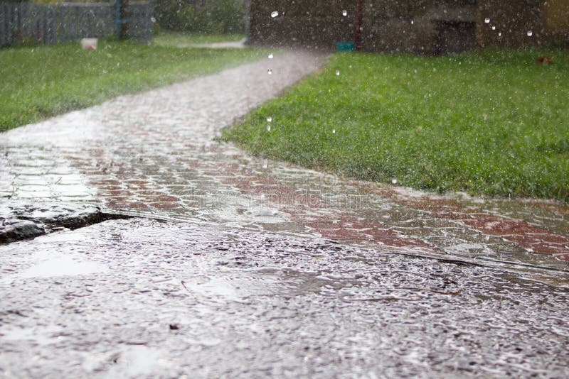 Rain on the pavement stock image. Image of heavy, rain - 97947537