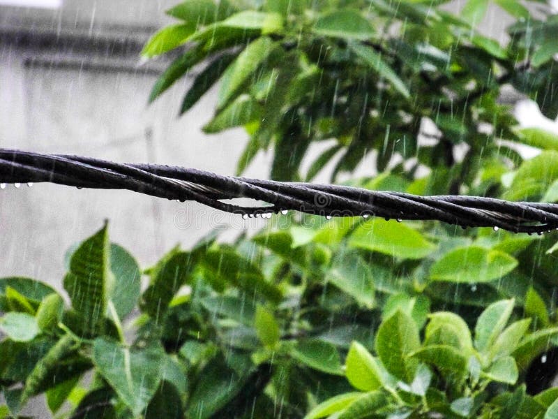 Rain stock image. Image of rain, wire, water, droops - 117036973