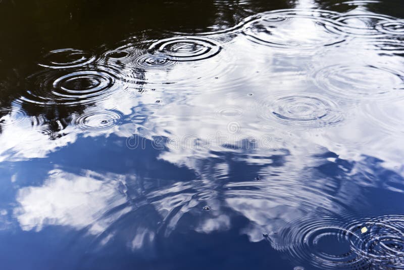 Rain, pond and summertime stock photo. Image of water - 114861790