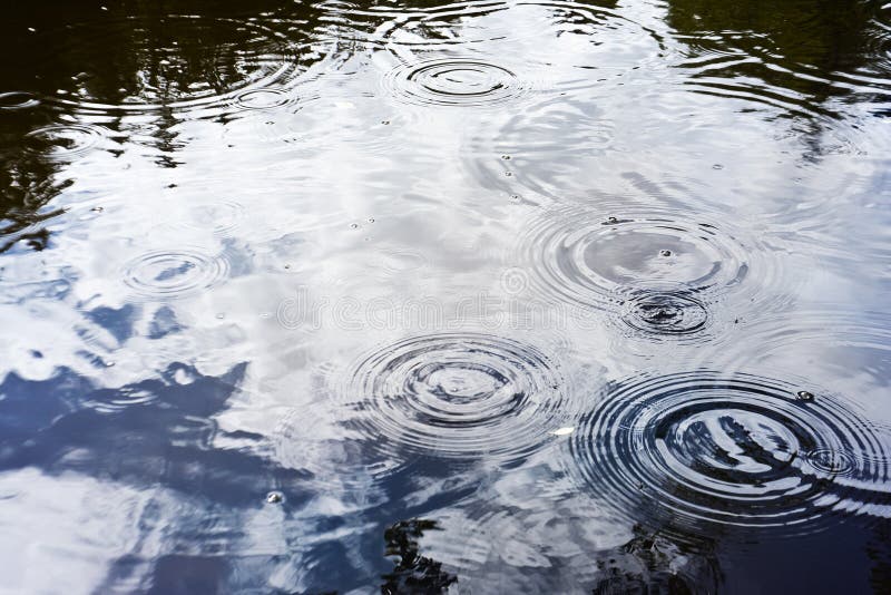 Rain, pond and summertime stock photo. Image of water - 107017656
