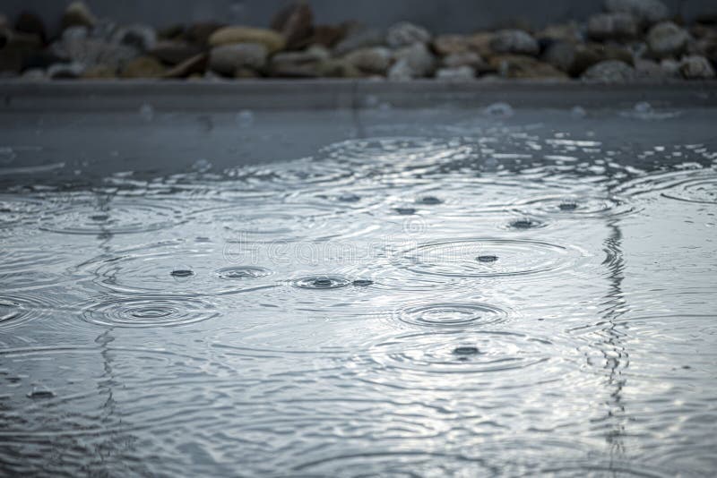 Rain Pool with Water Bubbles and Water Circles Stock Image - Image of ...