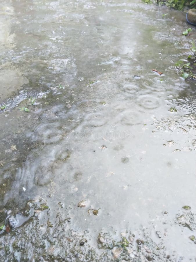 Rain in a private yard stock image. Image of fall, puddle - 191627105
