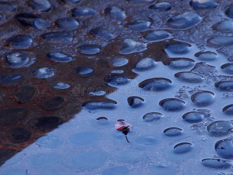Rain Puddle Picture. Image: 91785348