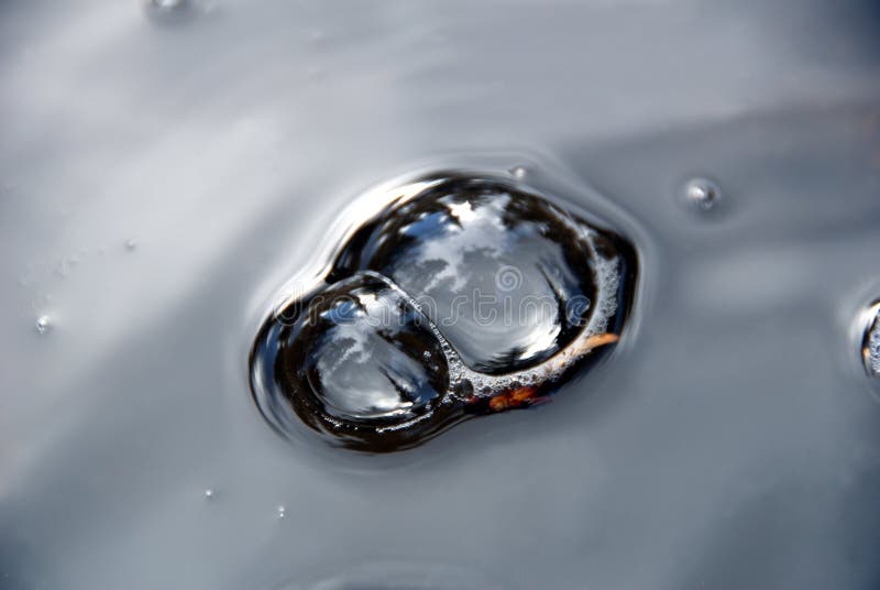 Rain Puddle Bubbles stock photo. Image of winter, bubbles - 3292884
