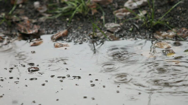 Rain Puddle Bubbles Stock Footage & Videos - 392 Stock Videos