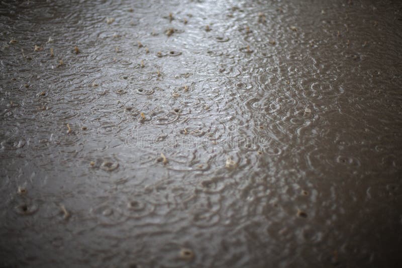 Rain and Puddle. Rain Outside. Texture of Water Stock Photo - Image of ...