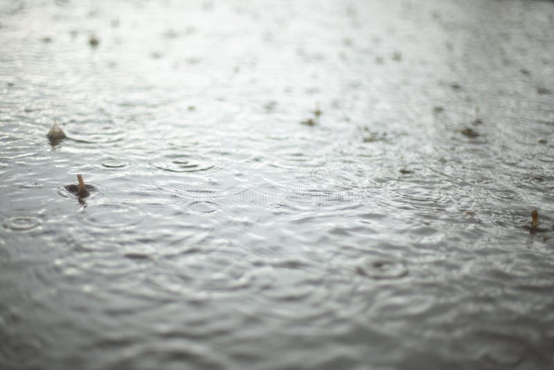 Rain and Puddle. Rain Outside. Texture of Water Stock Image - Image of ...