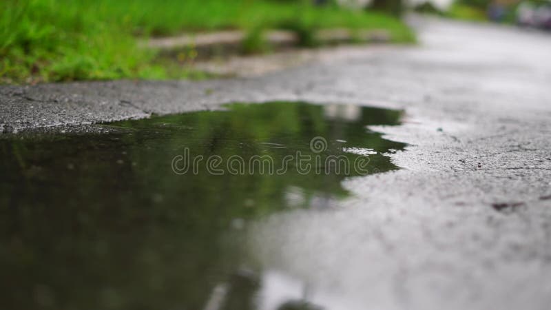 Rain. Puddle of Water. City at Night. Rain Drop with Street Lights ...