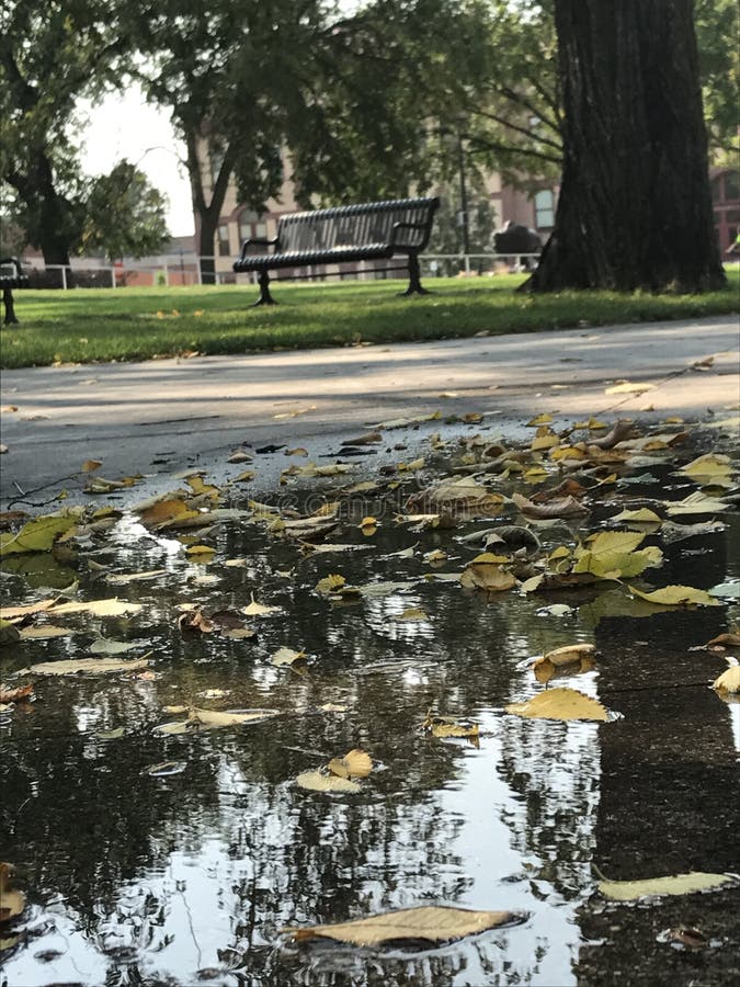 Rain puddles stock image. Image of rain, reflections - 99179091