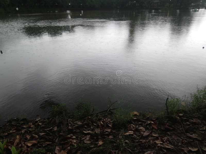 Rain Puddles stock image. Image of outdoor, rain, rainfall - 126932861