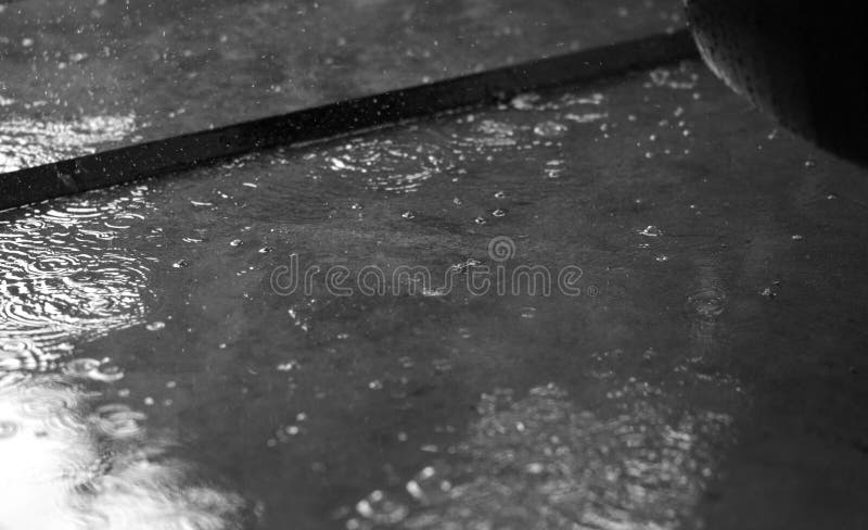 RAIN PUDDLES with RAINDROPS Stock Photo - Image of cold, nature: 97412824