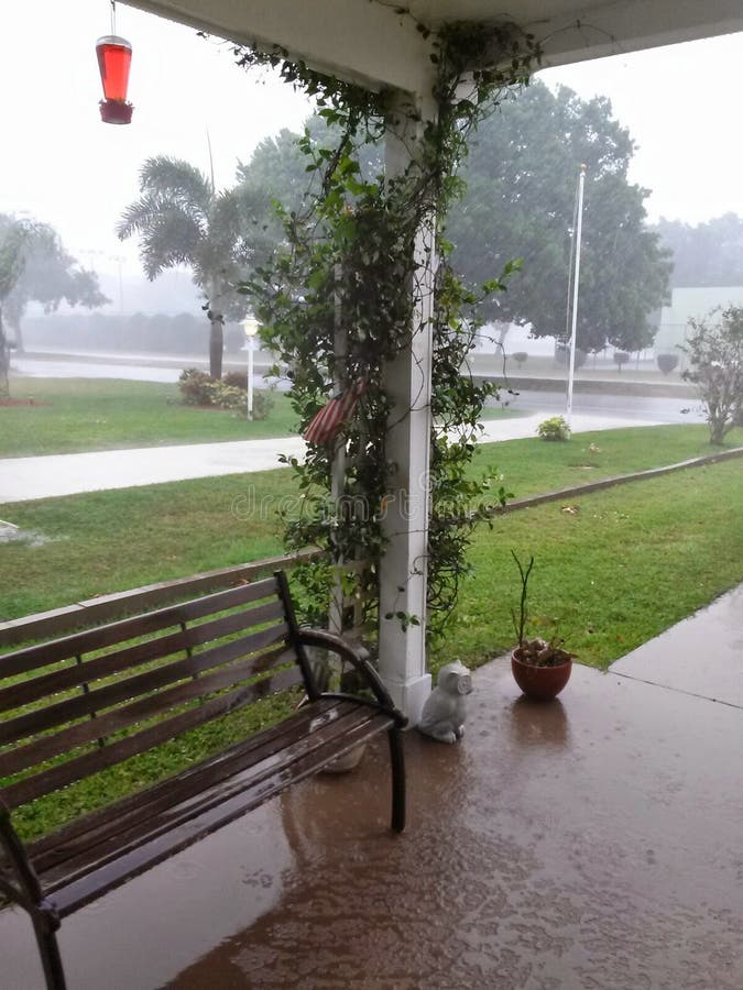 Rain,rain go away! stock photo. Image of trees, lights - 47153426