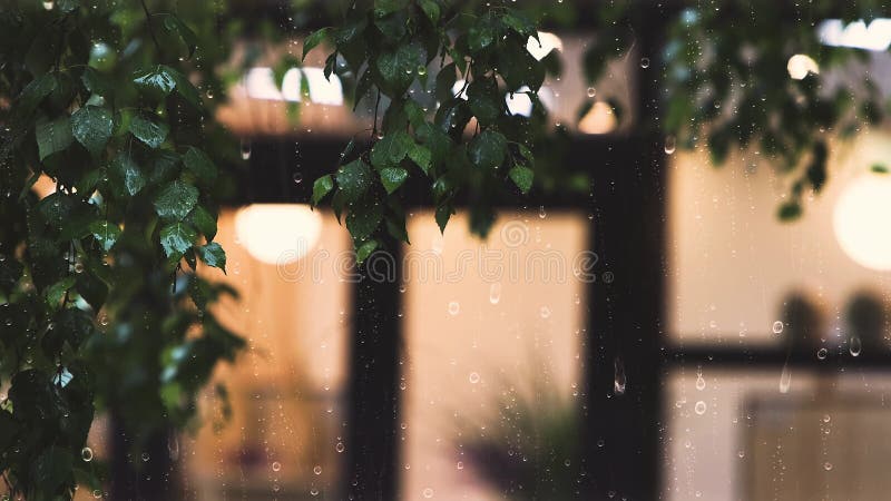 Rain and Raindrops Falling on the Window and Showers on a Summer Night ...