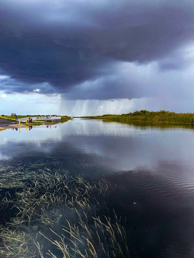 Rain Reflects in the River in the Swamp Stock Image - Image of bush ...