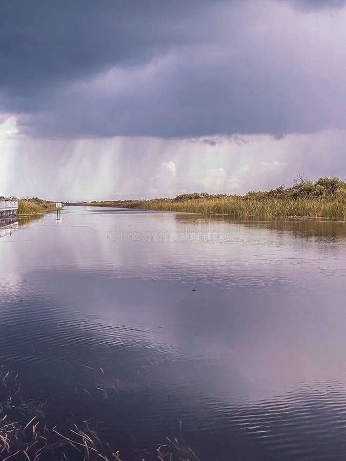 Rain Reflects in the River in the Swamp Stock Image - Image of blue ...