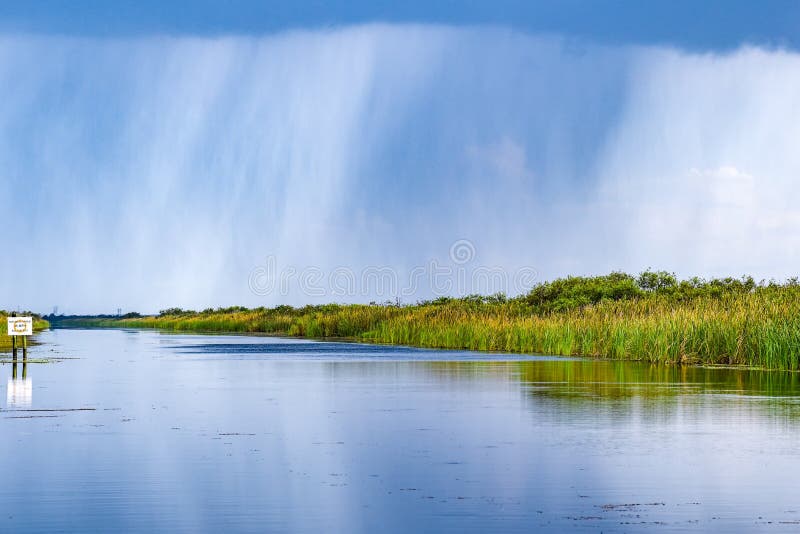Rain Reflects in the River in the Swamp Stock Photo - Image of national ...