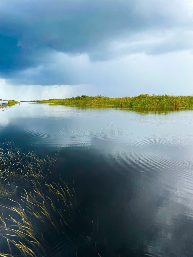 Rain Reflects in the River in the Swamp Stock Photo - Image of field ...