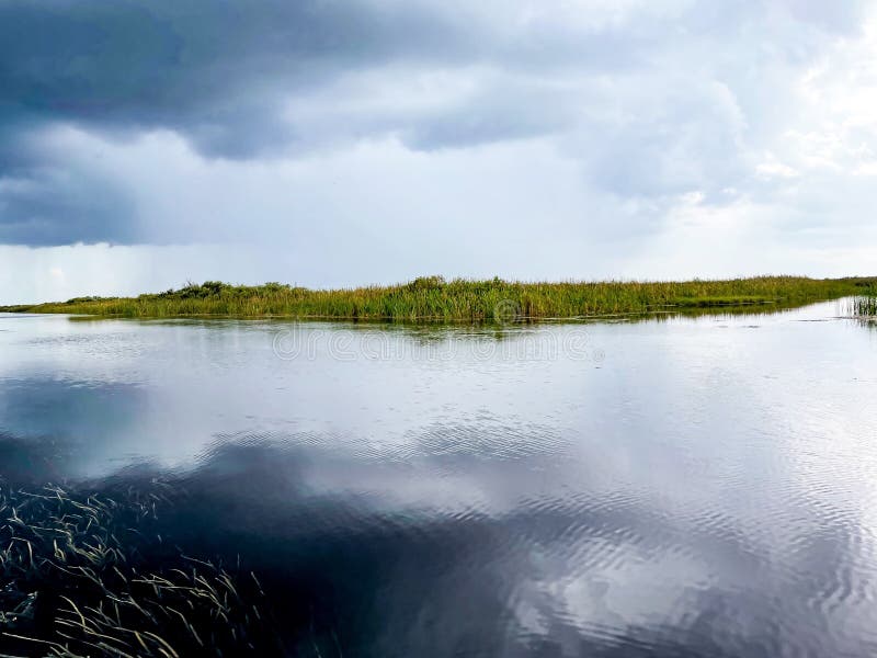 Rain Reflects in the River in the Swamp Stock Photo - Image of blue ...