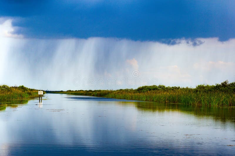 Rain Reflects in the River in the Swamp Stock Image - Image of outdoors ...