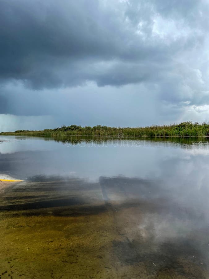 Rain Reflects in the River in the Swamp Stock Photo - Image of foliage ...