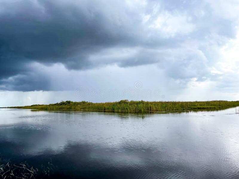 Rain Reflects in the River in the Swamp Stock Image - Image of ...