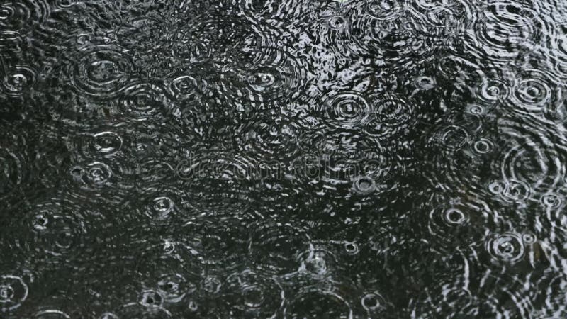 Rain Ripples on Dark Water. Stock Video - Video of rainfall, splash ...