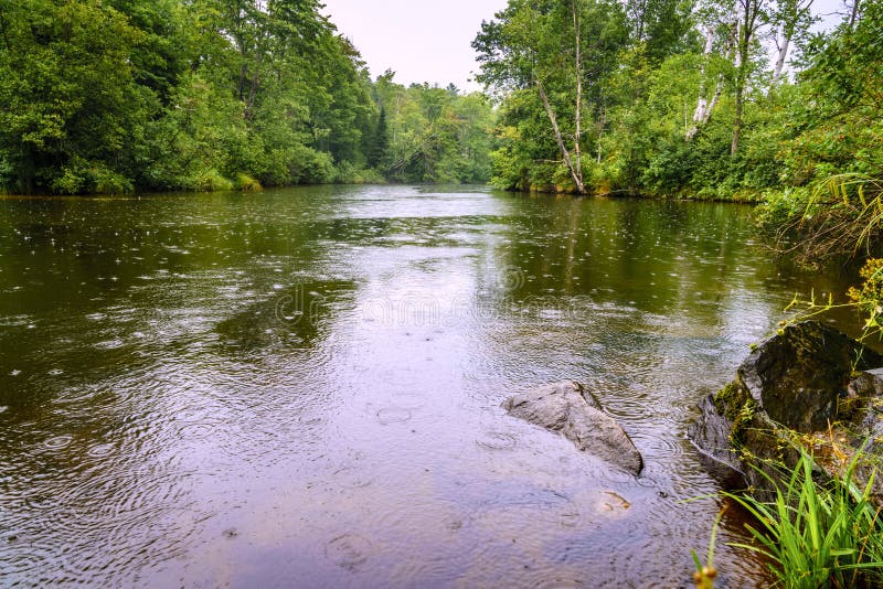 Rain on a river stock photo. Image of woods, empty, shore - 95980912