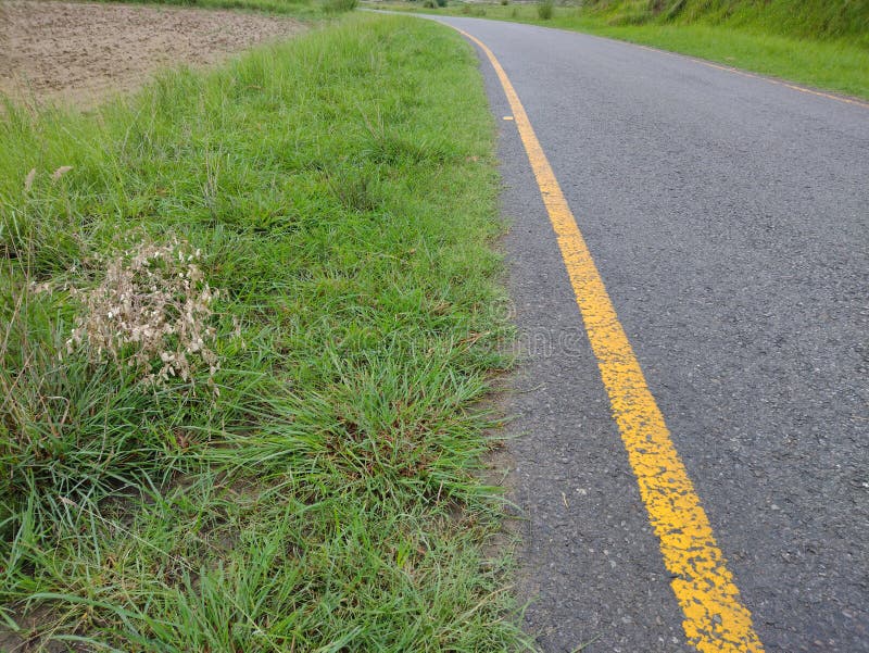 Rain Road Green Grass Yellow Line Summer Stock Photo - Image of grass ...