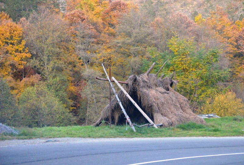 Rain shelter made of hay stock image. Image of forest - 273254627