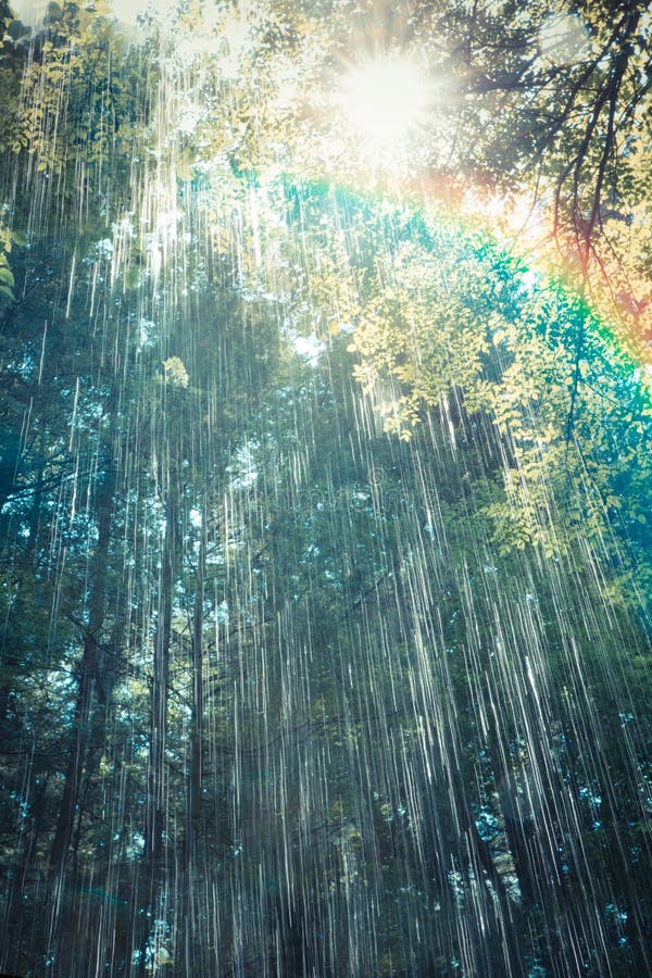 Rain Shower Rainbow stock photo. Image of green, spring - 98041686