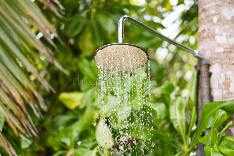 Rain Shower on a Tree in the Fresh Air at a Resort in the Maldives ...