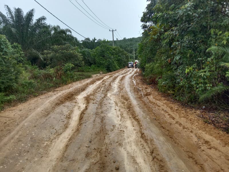 Three Offroad RC Cars Racing on a Track Stock Photo - Image of power ...