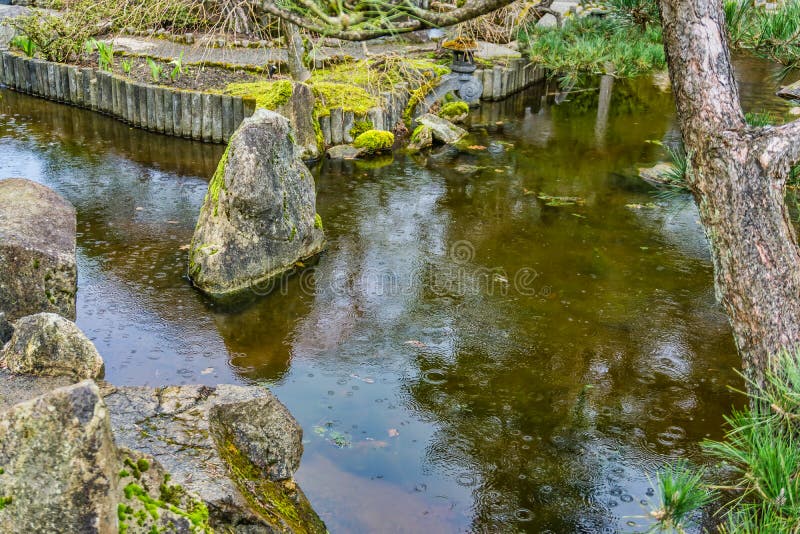 Rain on Small Pond 5 stock image. Image of pond, ripples - 245102441