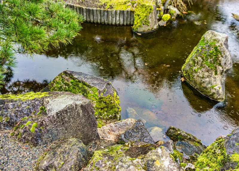Rain on Small Pond 7 stock photo. Image of ripples, washington - 245232276