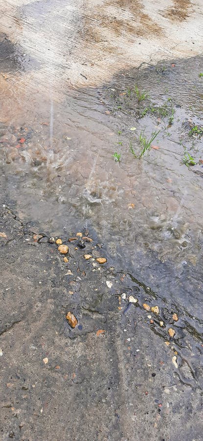 Rain Splash Water Texture on Cement Floor Stock Photo - Image of flower ...