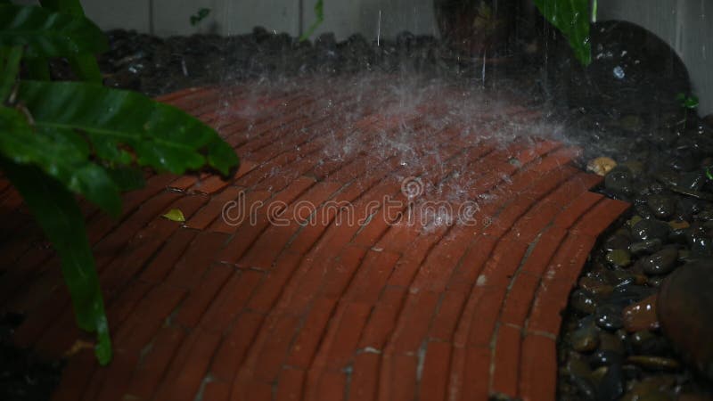 Rain Splattering on Red Brick Path in Lush Garden Stock Video - Video of splashing, path: 388812281