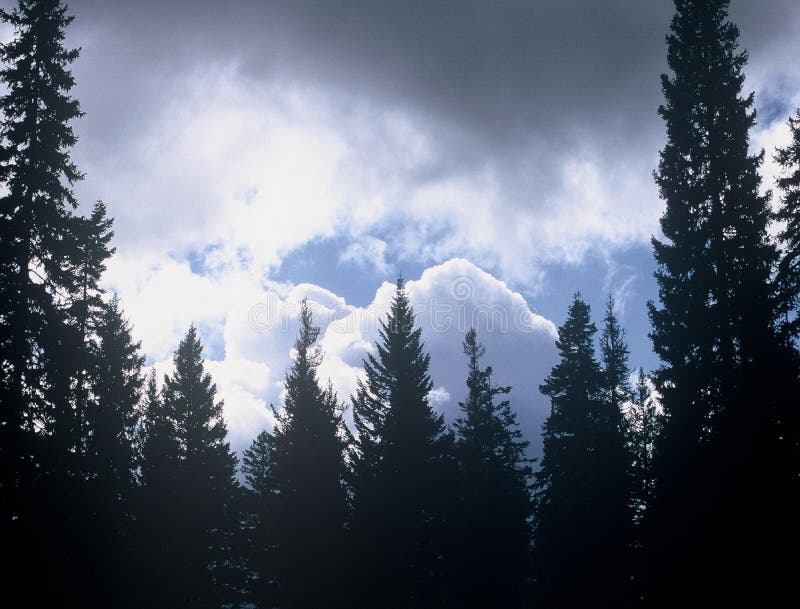 Rain Storm stock image. Image of rain, nature, blue, skies - 614567
